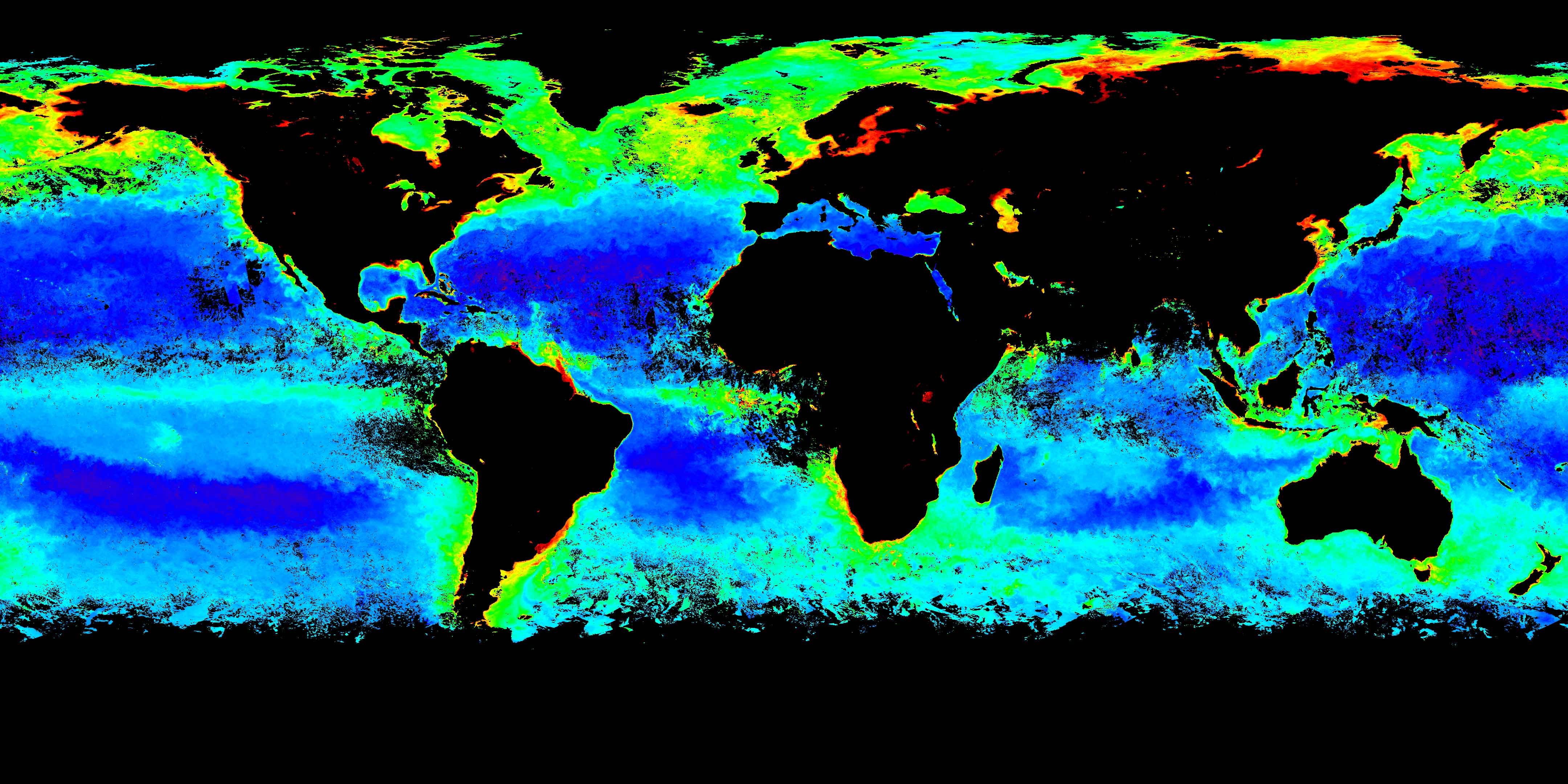 Phytoplankton Archive phytoplankton-archive