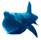 Marine Science: The Dynamic Ocean - Maps and Data